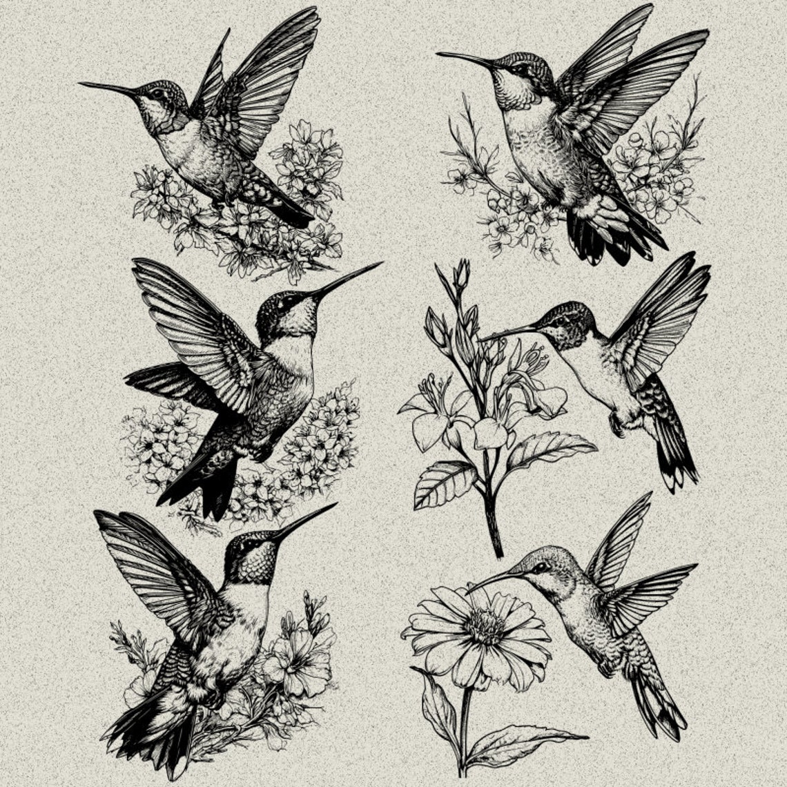36 Humming Bird Designs Bundle PNG & SVG Digital for Laser Engraving or ...
