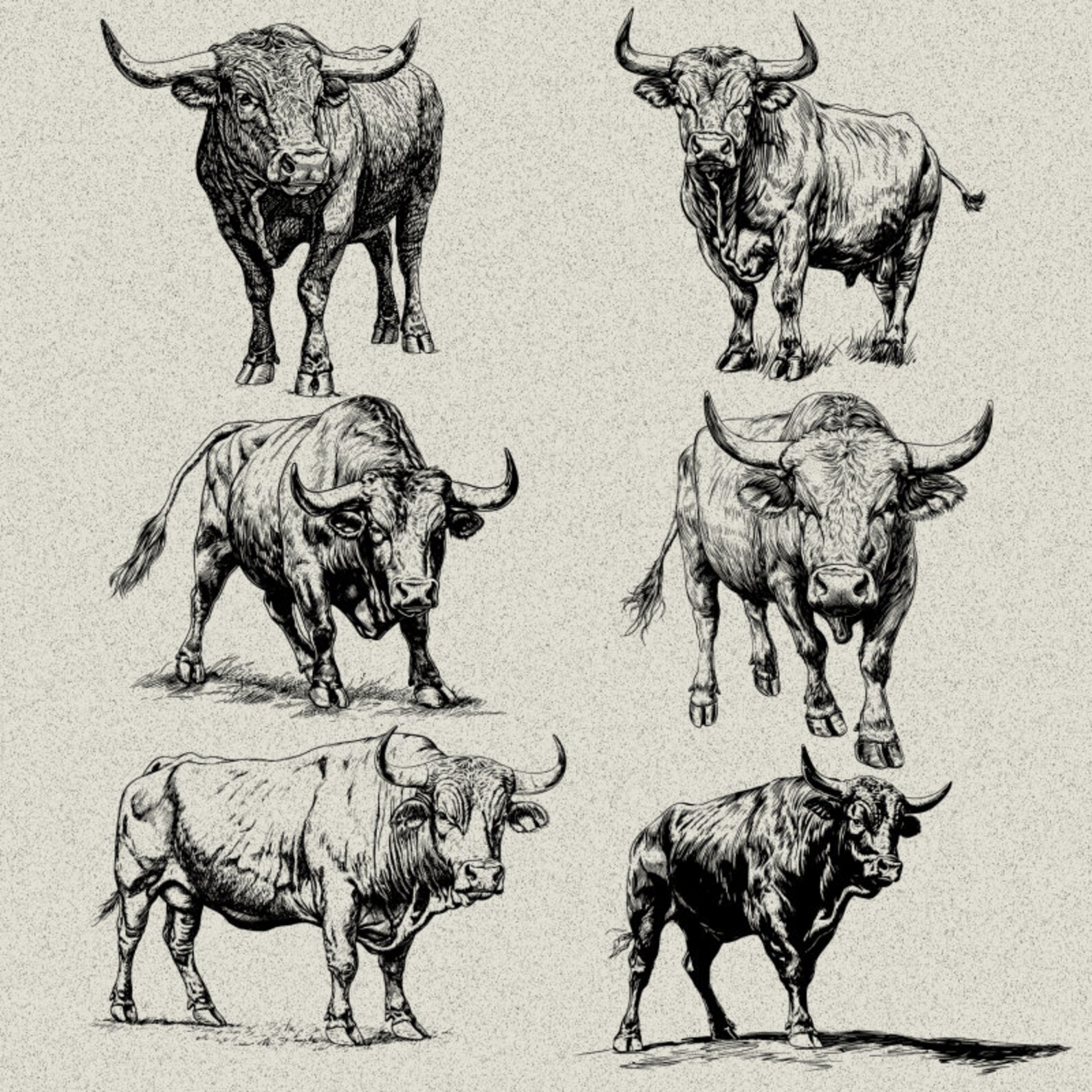 36 Bull Designs Bundle PNG & SVG for Laser Engraving or Print, Texas ...