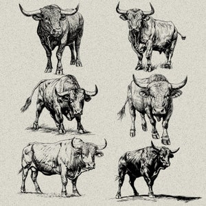 36 Bull Designs Bundle PNG & SVG for Laser Engraving or Print, Texas ...