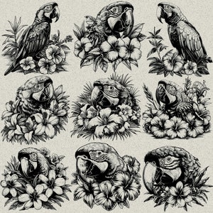 36 Macaw Designs Bundle PNG & SVG Digital for Laser Engraving or Print ...