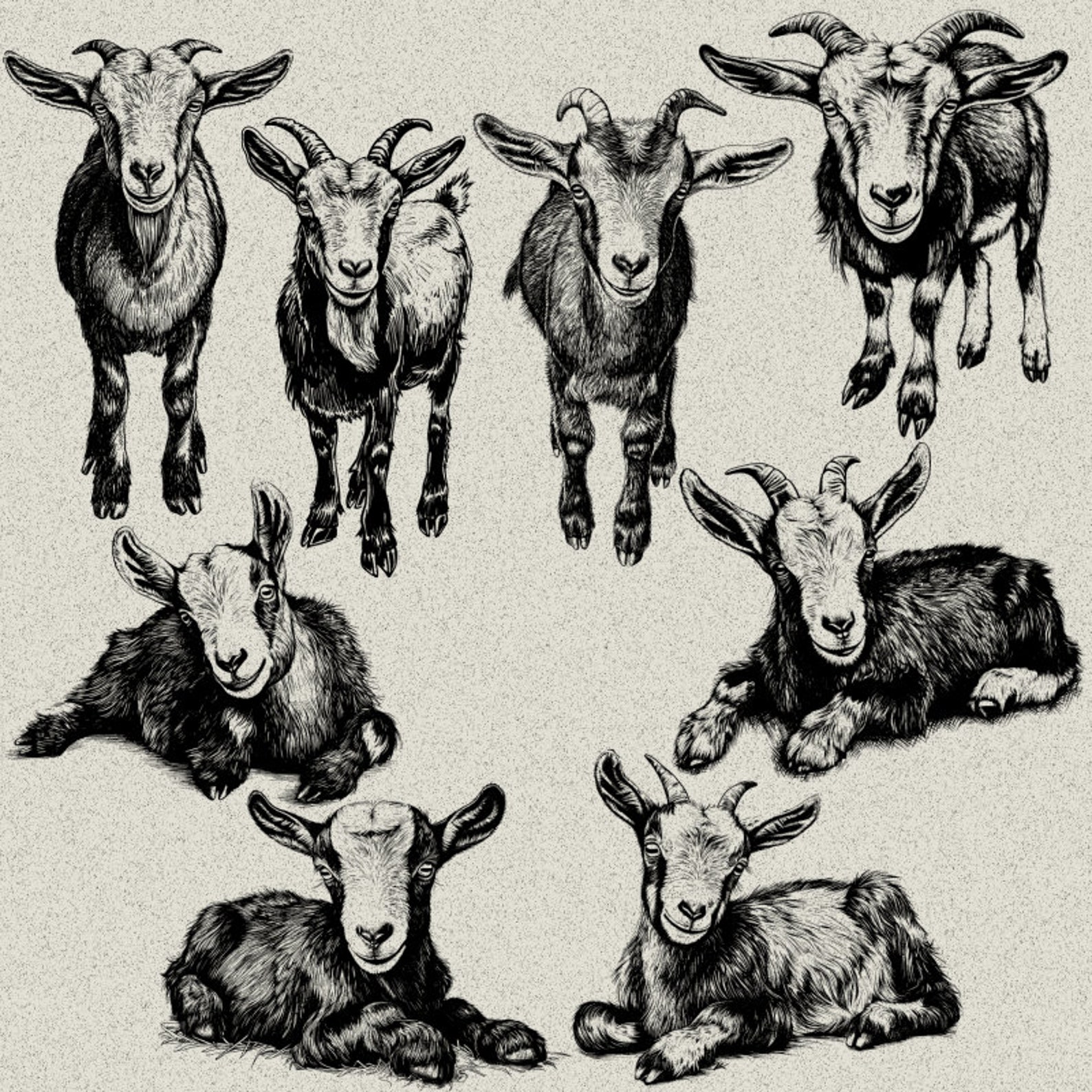 45 Goat Designs Bundle PNG & SVG Digital for Laser Engraving or Print ...