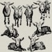 45 Goat Designs Bundle PNG & SVG Digital for Laser Engraving or Print ...