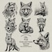 47 Fox Designs Bundle PNG & SVG Digital for Laser Engraving or Print ...