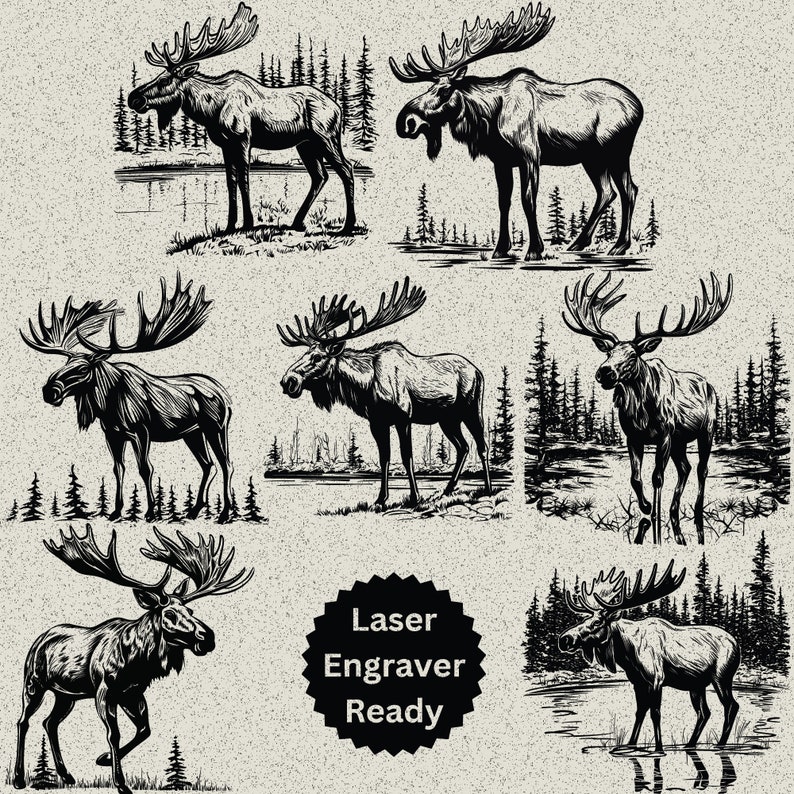 25 Moose Design Bundle PNG & SVG Formats Good for Laser Engraving and ...