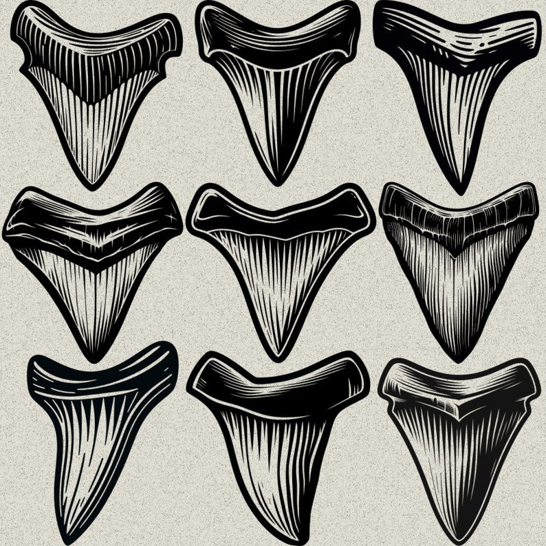36 Shark Teeth Bundle PNG & SVG Digital for Laser Engraving or Print ...