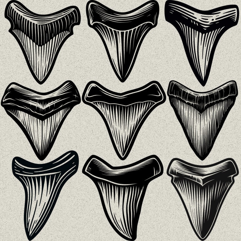 36 Shark Teeth Bundle PNG & SVG Digital for Laser Engraving or Print ...