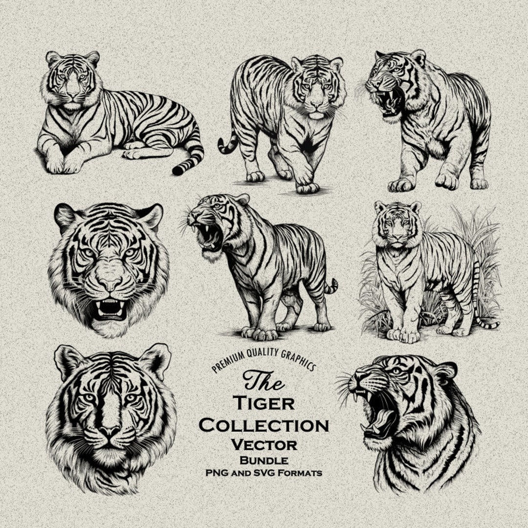 34 Tiger Bundle Detailed PNG and SVG Files - Great for Laser Engraving ...