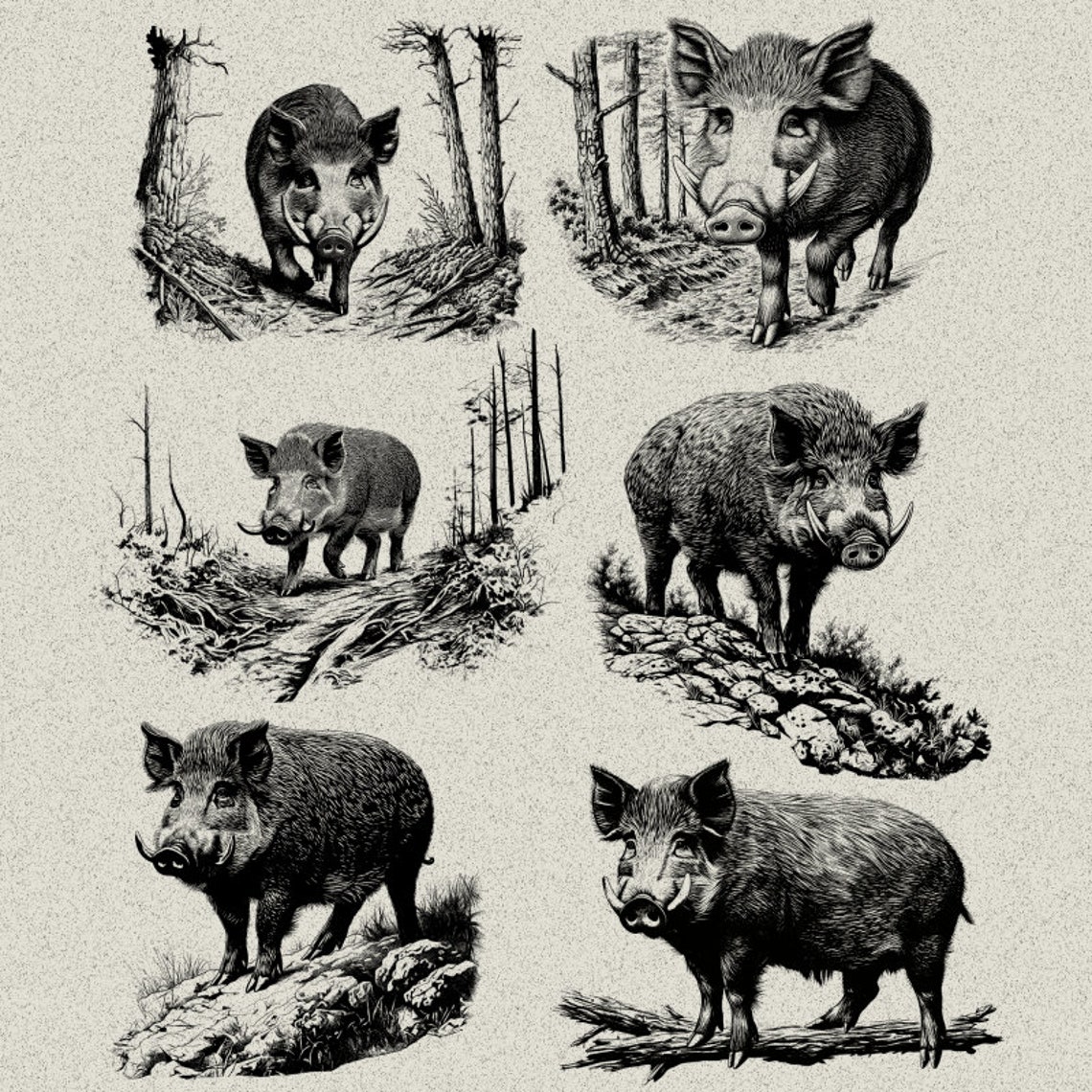 36 Wild Boar Detailed Designs Bundle PNG & SVG for Laser Engraving or ...