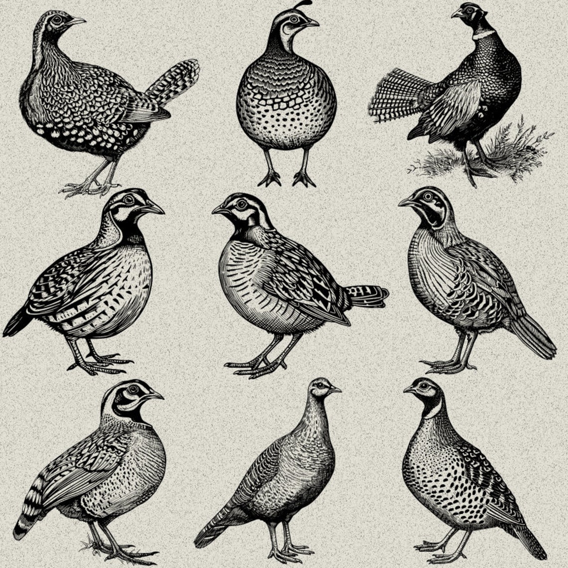 44 Game Bird Designs Bundle PNG & SVG for Laser Engraving or Print on ...