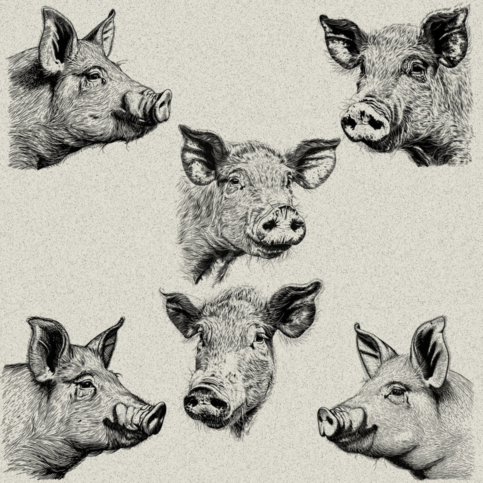 42 Pig Designs Bundle PNG & SVG for Laser Engraving or Print, Piglet ...