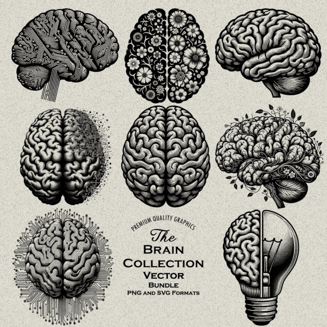 33 Brain SVG & PNG Bundle Designs for Laser Engraving, or Print, AI ...