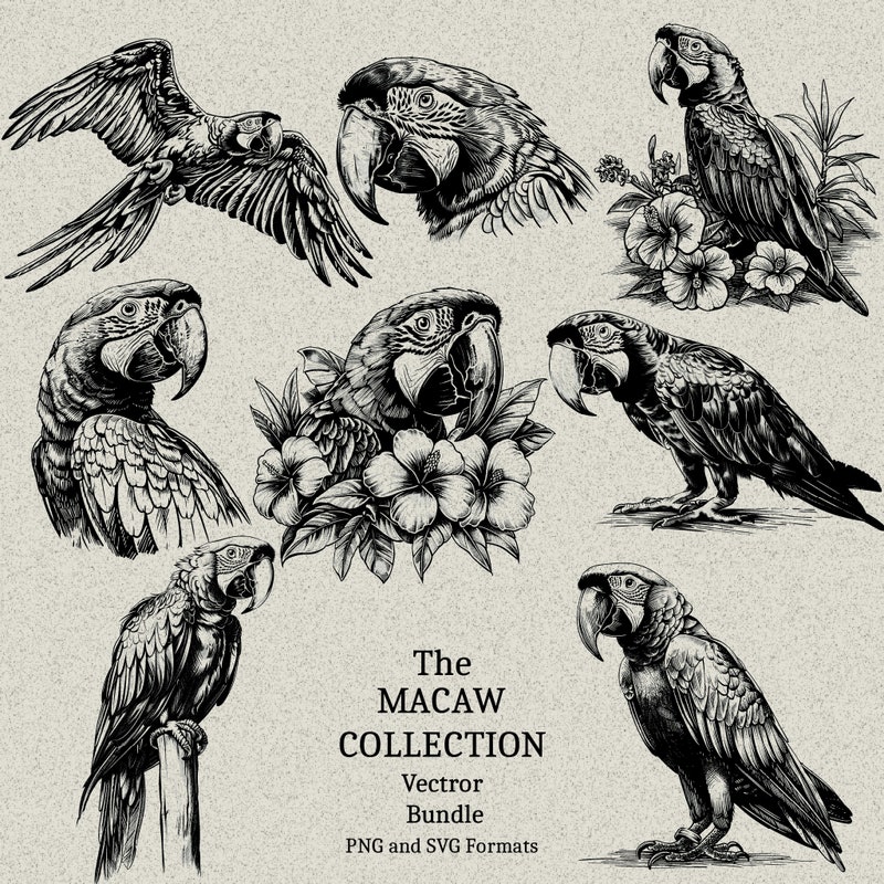 Macaws Digital - Etsy