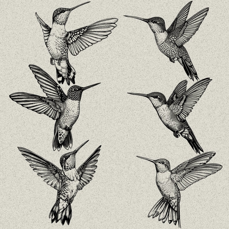 36 Humming Bird Designs Bundle PNG & SVG Digital for Laser Engraving or ...