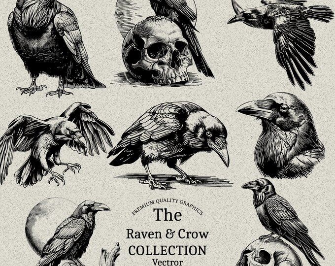 40 Raven and Crow Designs Bundle PNG & SVG Digital for Laser Engraving ...