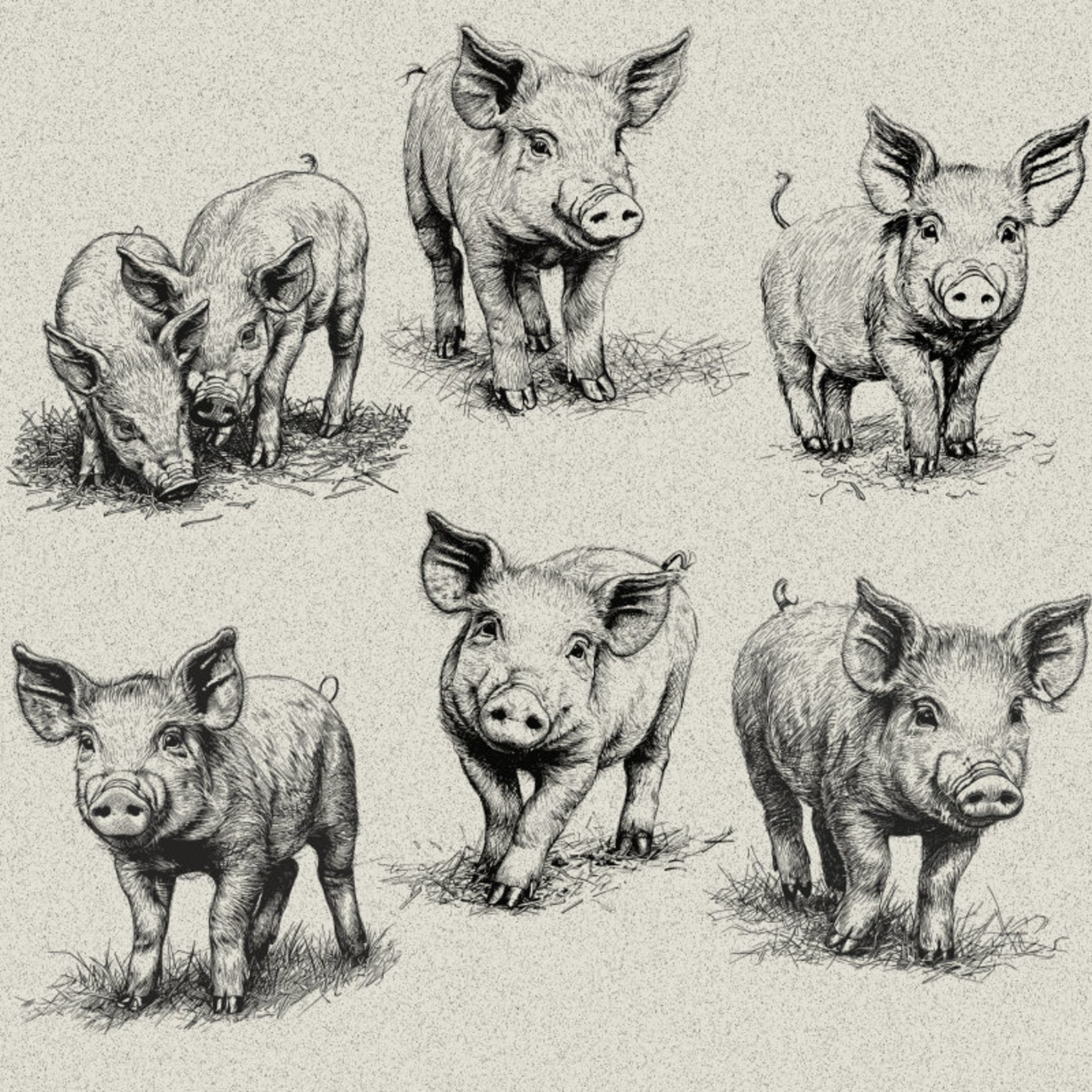 42 Pig Designs Bundle PNG & SVG for Laser Engraving or Print, Piglet ...