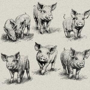 42 Pig Designs Bundle PNG & SVG for Laser Engraving or Print, Piglet ...