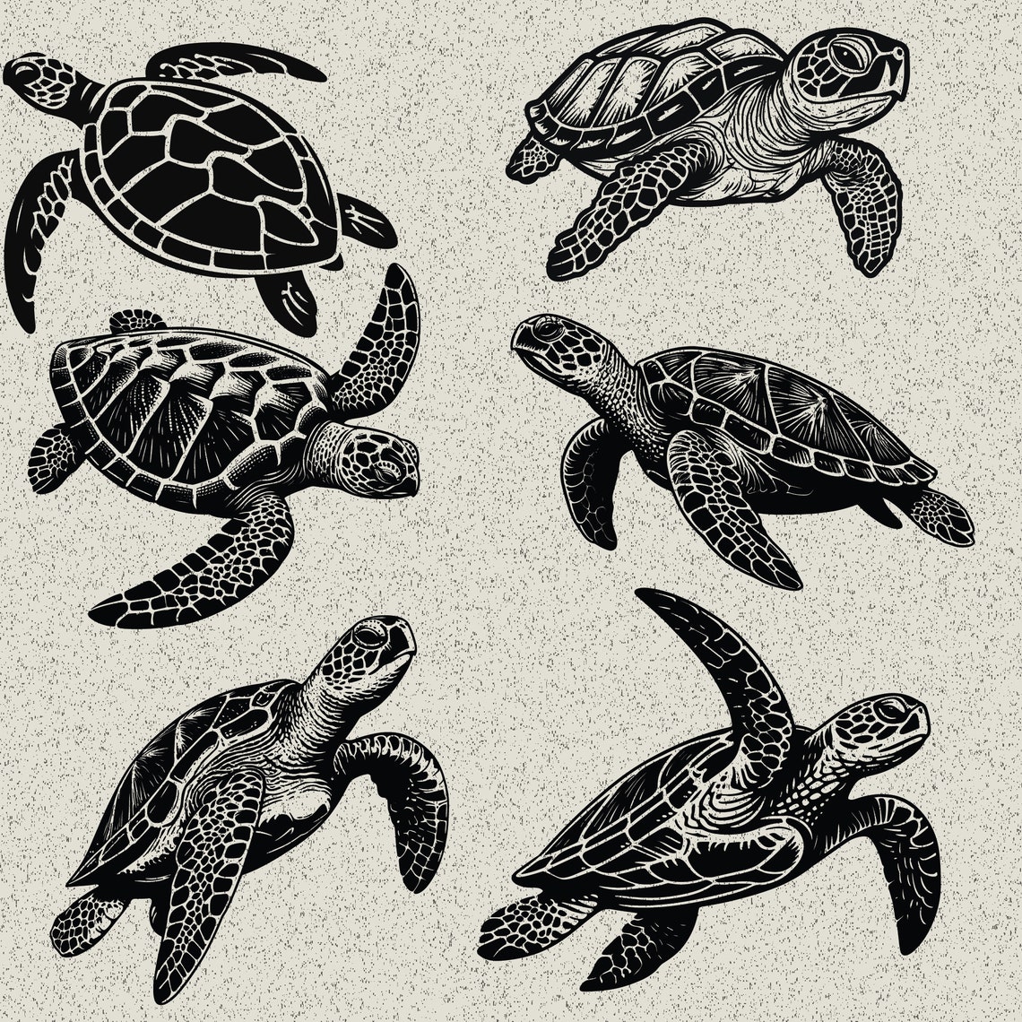 34 Sea Turtle Graphics Svg And Png Bundle Laser Engraver And Print Ready Turtle Bundle Turtle 