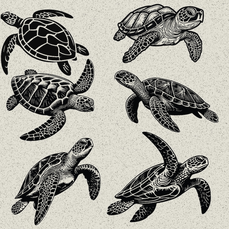 34 Sea Turtle Graphics SVG and PNG Bundle: Laser Engraver and Print ...