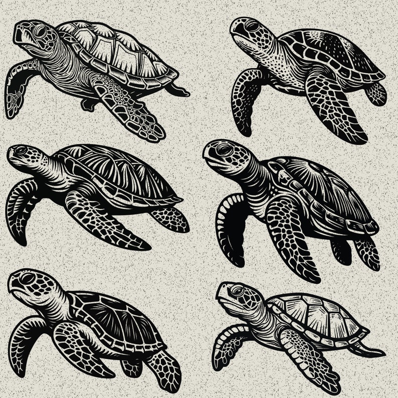 34 Sea Turtle Graphics SVG and PNG Bundle: Laser Engraver and Print ...
