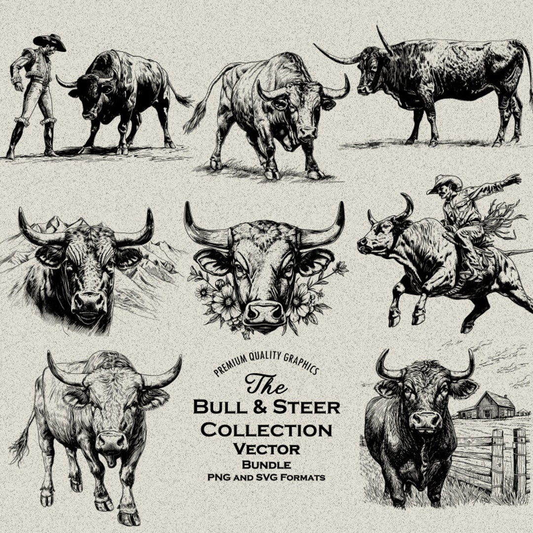 36 Bull Designs Bundle PNG & SVG for Laser Engraving or Print, Texas ...