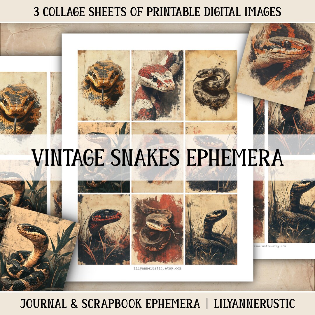 Snake Junk Journal Kit Vintage Ephemera Snake Digital Download ...