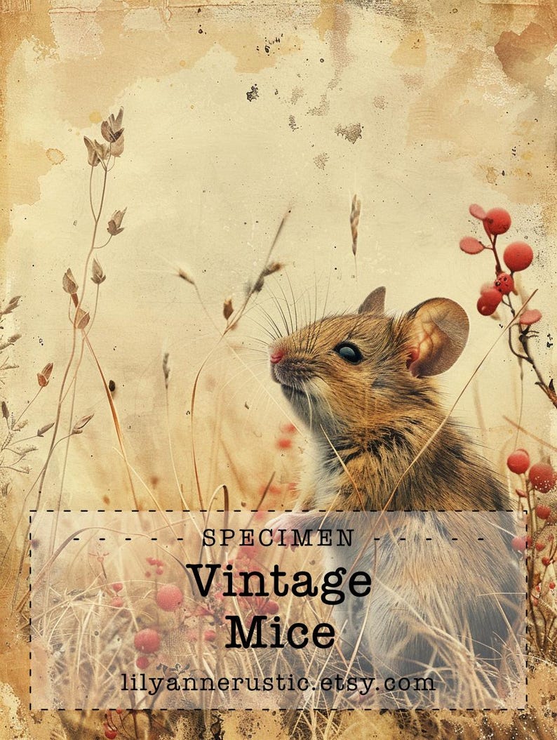 Mice Junk Journal Clip Art Images Scrapbook Ephemera Printable Digital ...