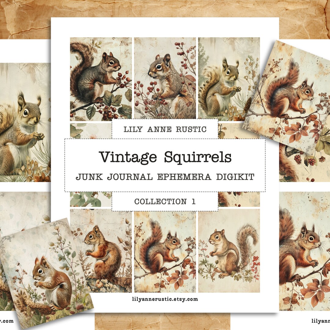 Vintage Squirrel Digikit Junk Journal Woodland Paper Ephemera Kit ...