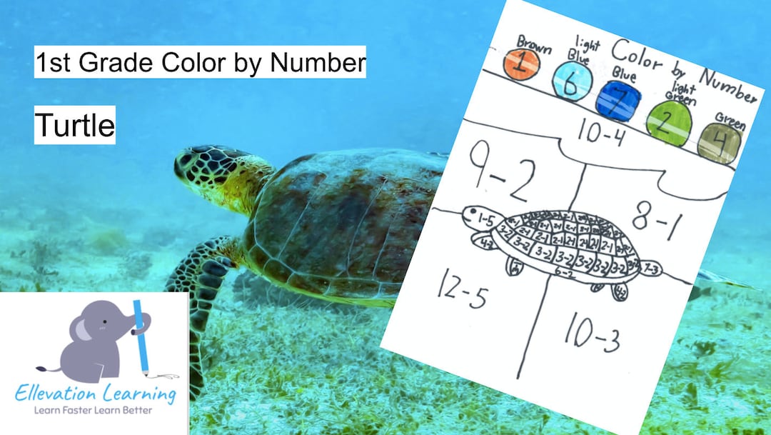 1st Grade Color by Number - Etsy