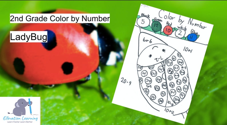 2nd Grade Color by Number - Etsy