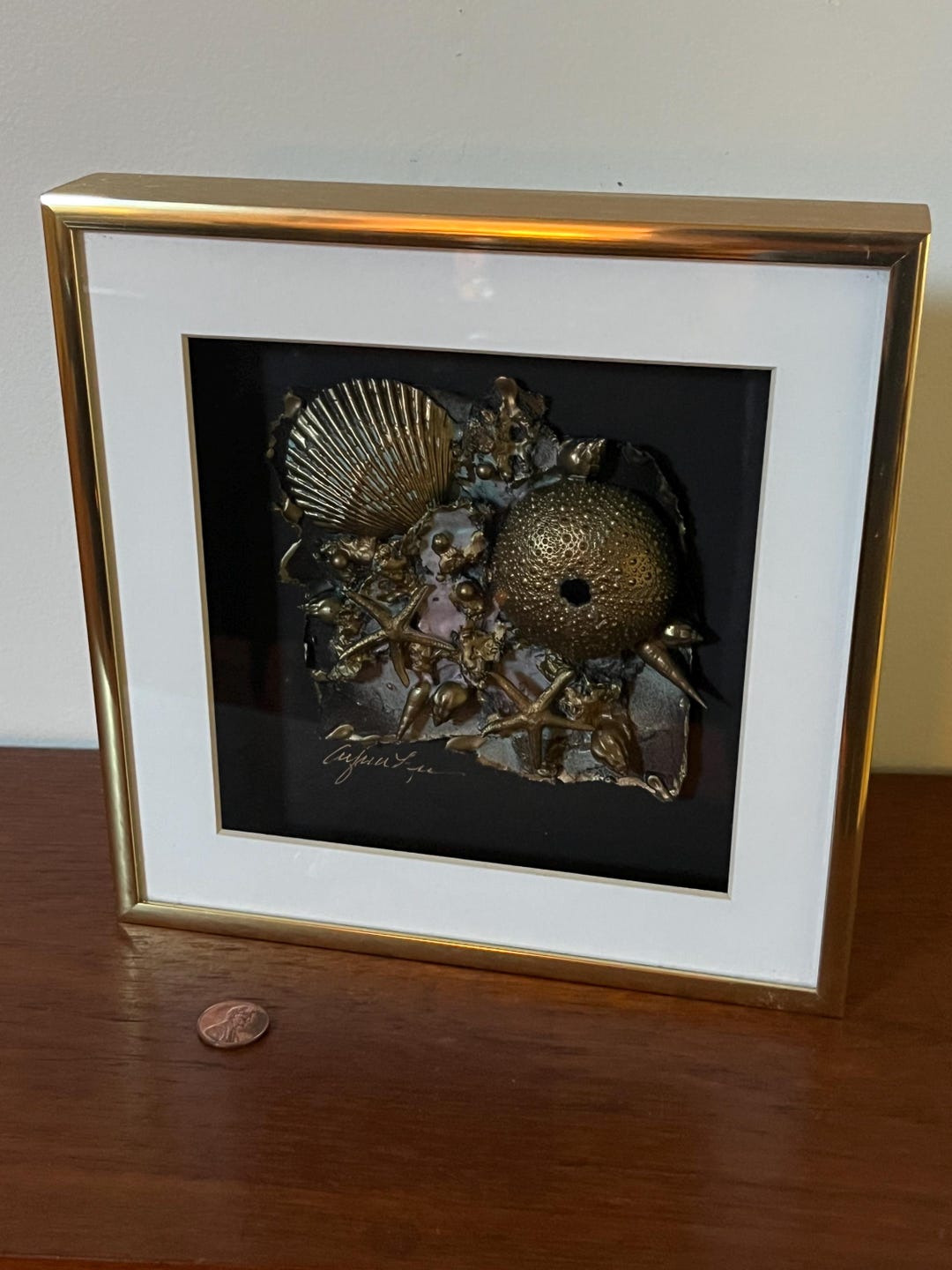 Alfred Lee 3D Paper Op-art Sculpture - Urchin, Sea Stars, Shells ...