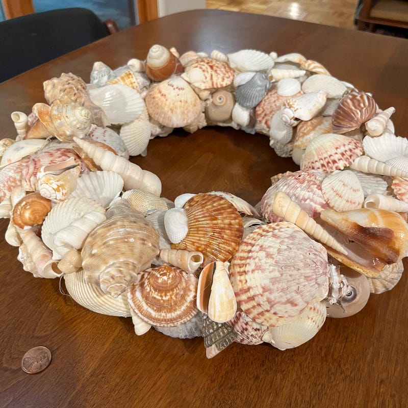 Sea Shell Wreath - Etsy