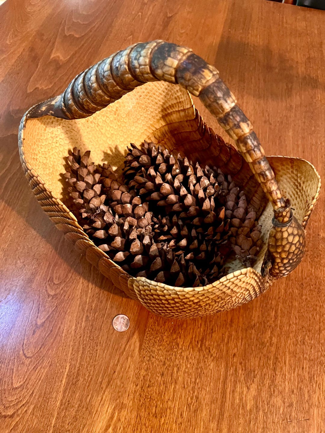 Vintage Handcrafted Authentic Armored Armadillo Shell Basket - Shown ...