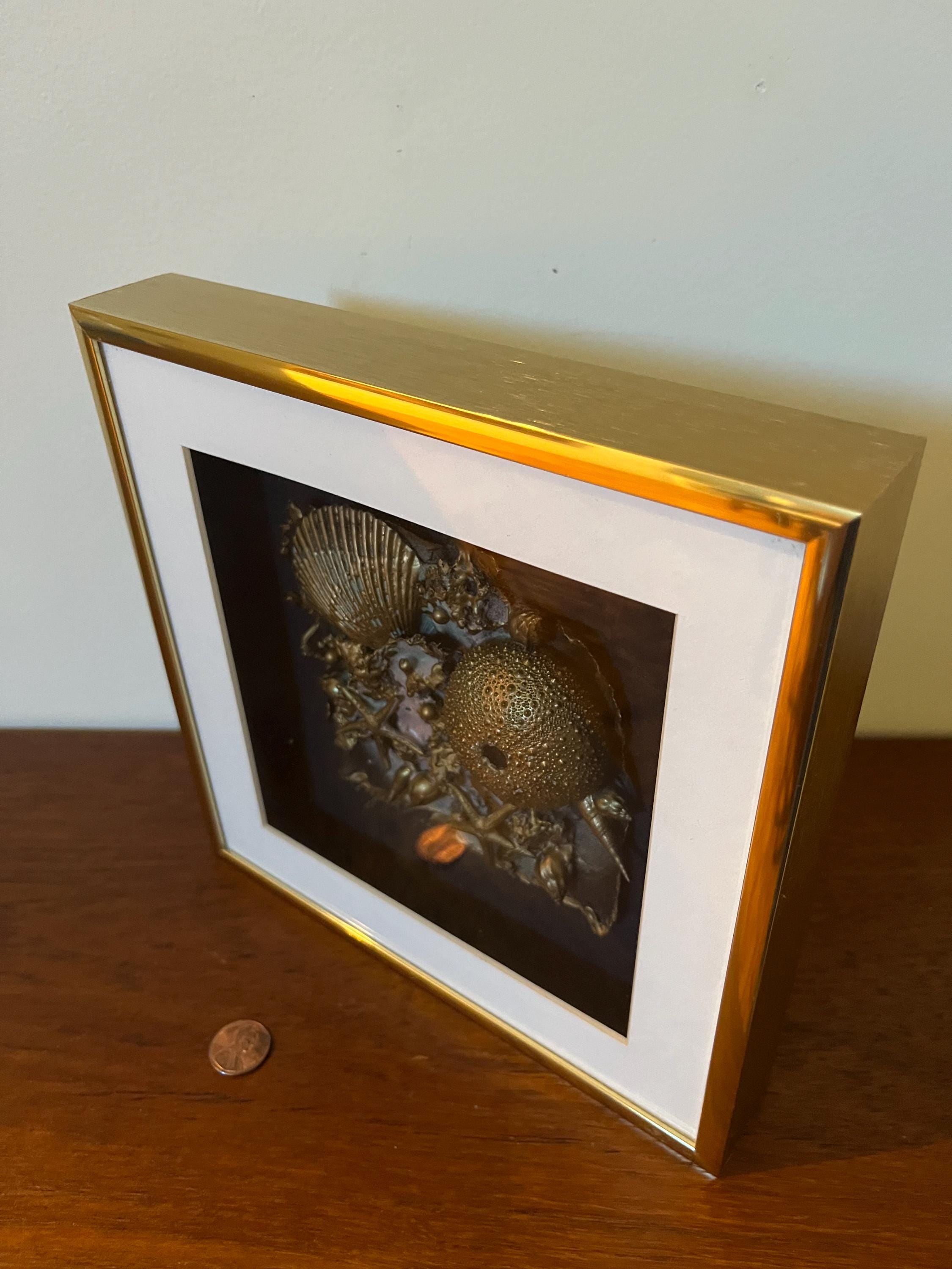 Alfred Lee 3D Paper Op-art Sculpture - Urchin, Sea Stars, Shells ...