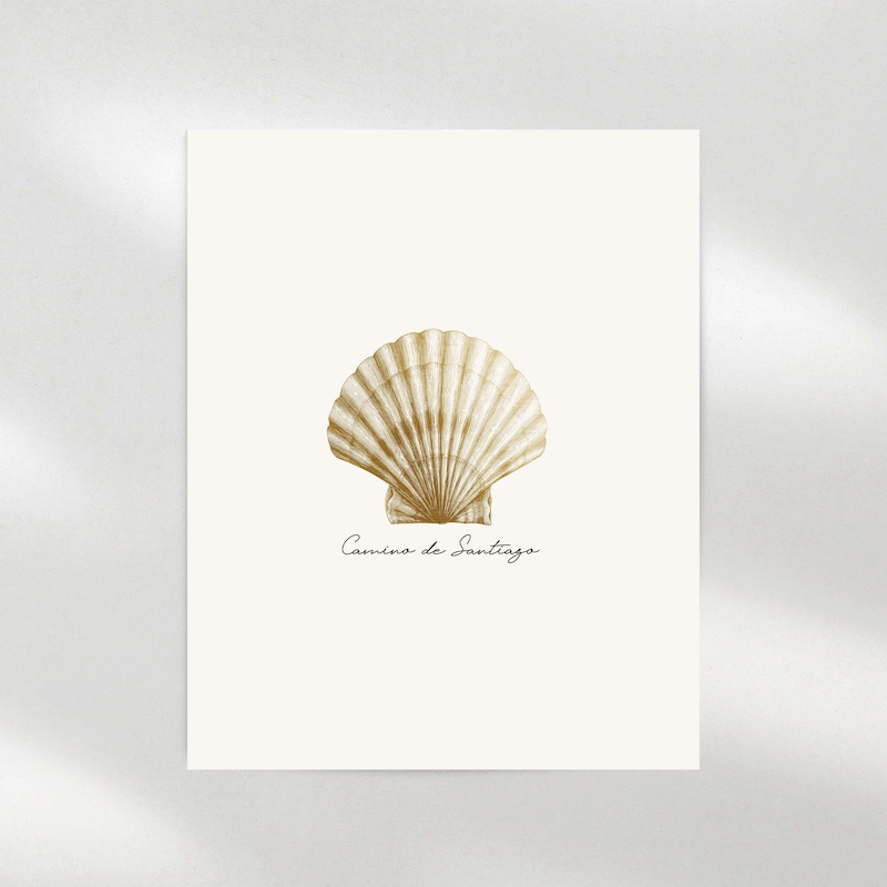 St James Shell - Etsy