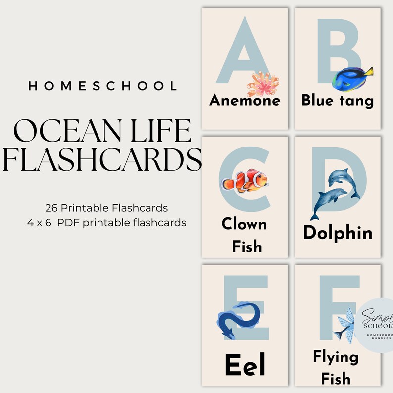 Ocean Alphabet Flashcards, Homeschool, Summer, Kindergarten, 1st Grade ...