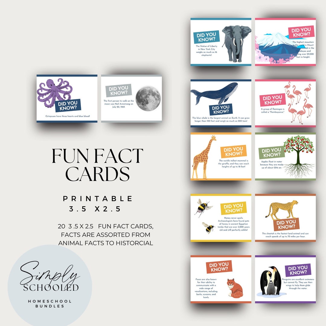 Homeschool Fun Fact Cards, Set of 20, Kindergarten, 1st Grade, 2nd ...