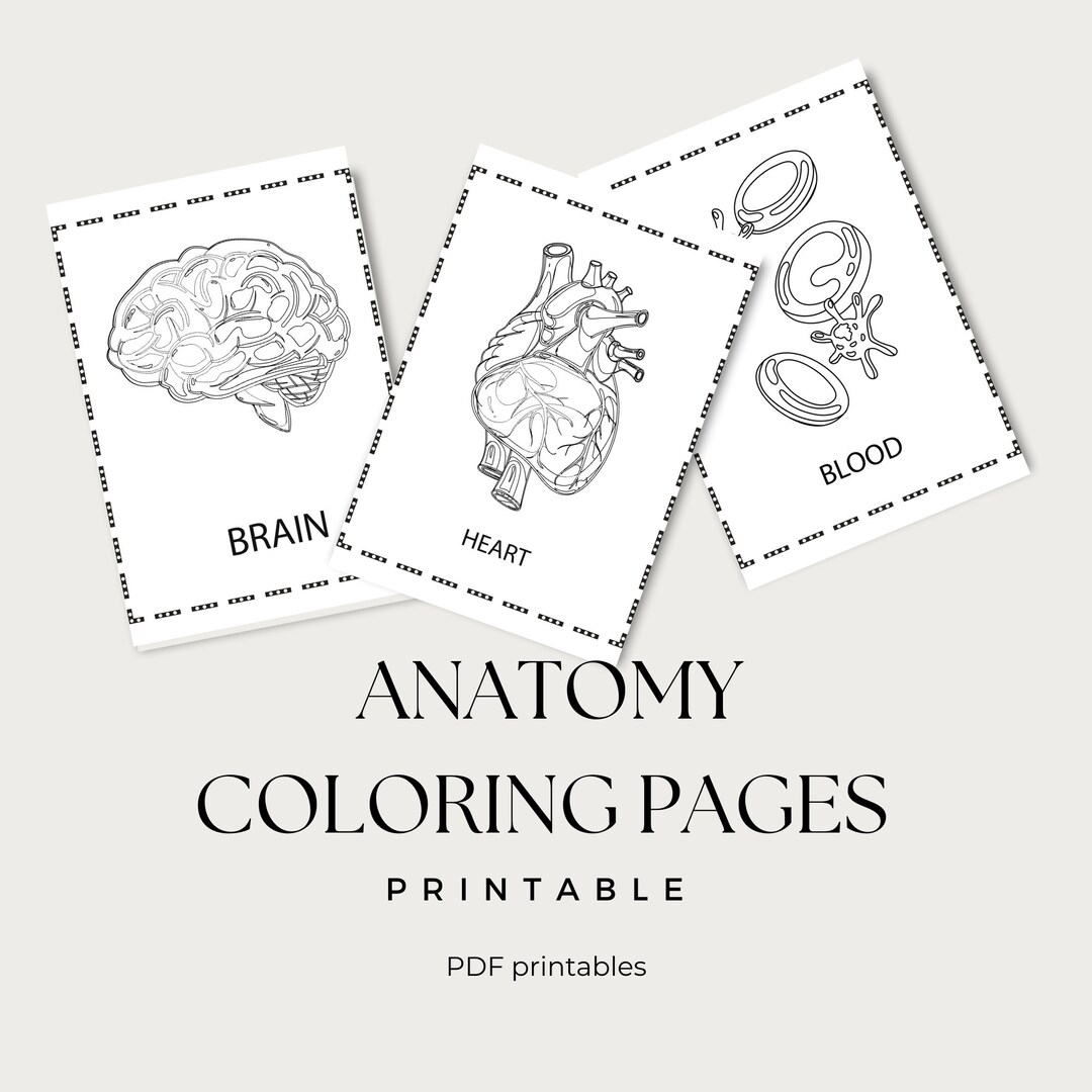 Homeschool Anatomy Coloring Pages, Health, Brain, Body, - Etsy
