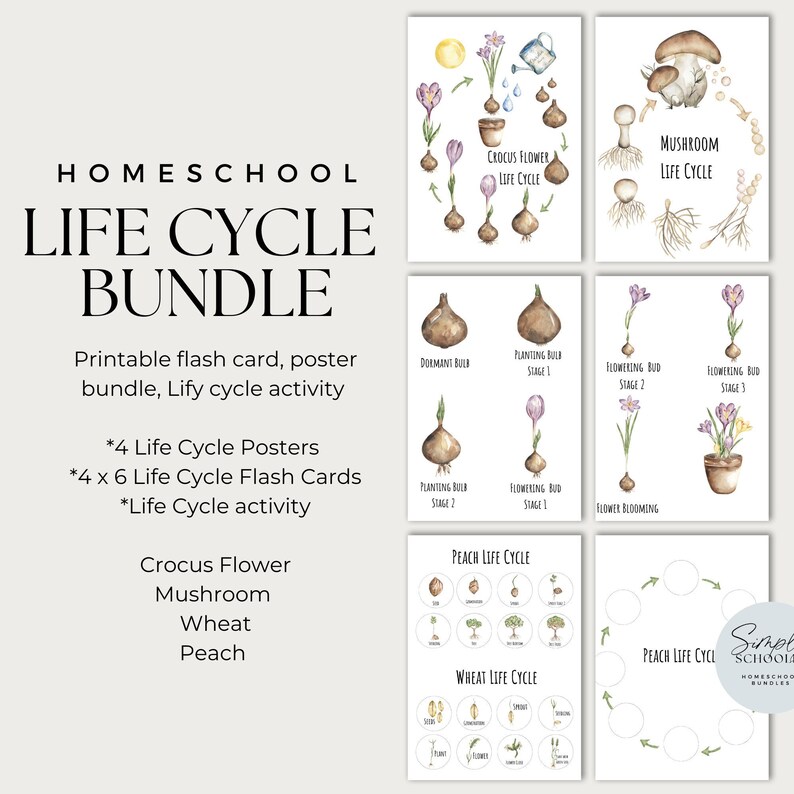 Homeschool Life Cycle Bundle, Flash Cards, Poster Sets, Activity - Etsy