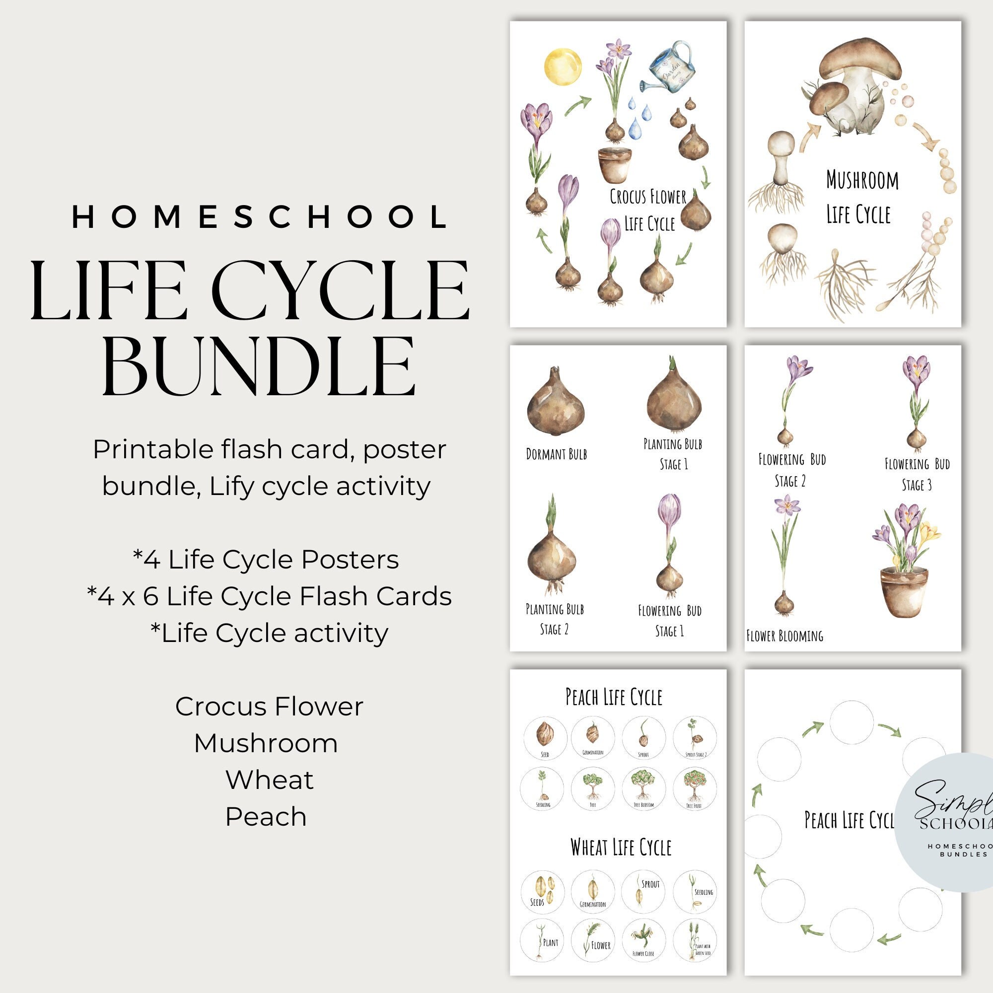 Homeschool Life Cycle Bundle, Flash Cards, Poster Sets, Activity - Etsy