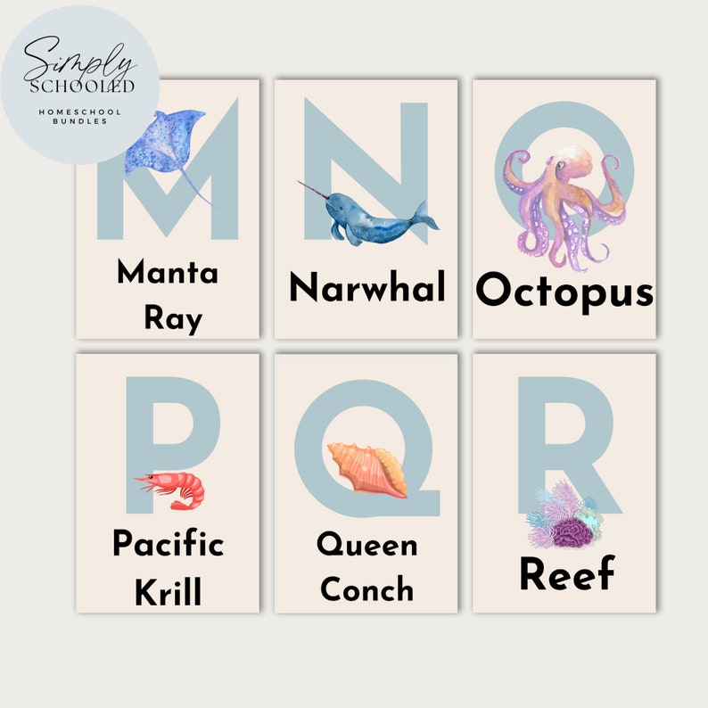 Ocean Alphabet Flashcards Homeschool Summer Kindergarten - Etsy