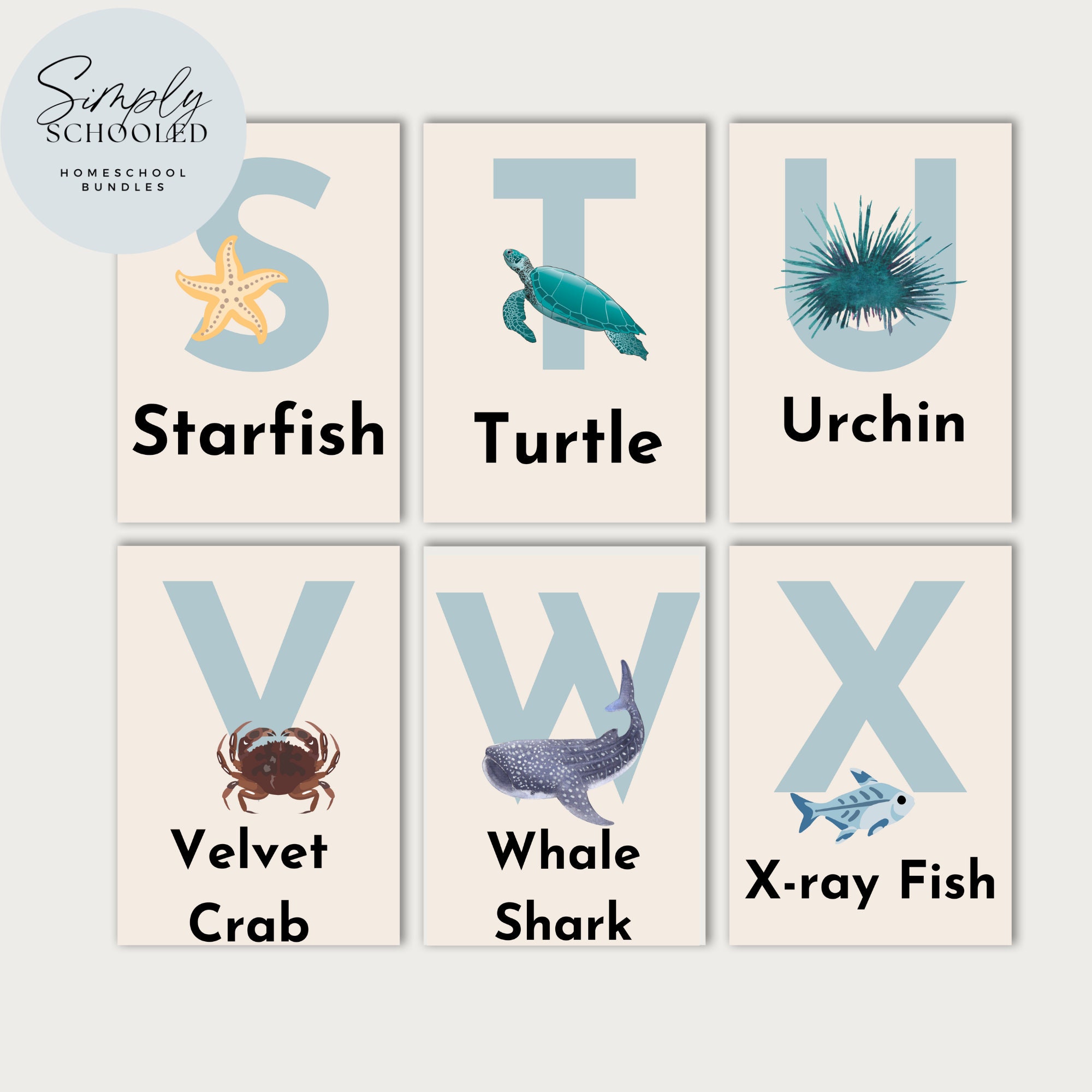 Ocean Alphabet Flashcards, Homeschool, Summer, Kindergarten, 1st Grade ...