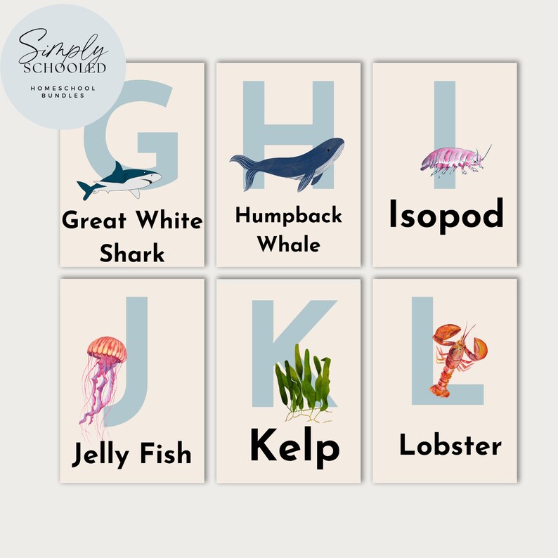 Ocean Alphabet Flashcards Homeschool Summer Kindergarten - Etsy