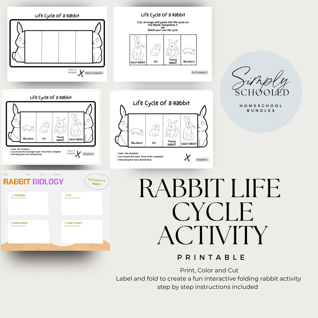 Rabbit Lifecycle Printable Bunny Homeschool Preschool - Etsy