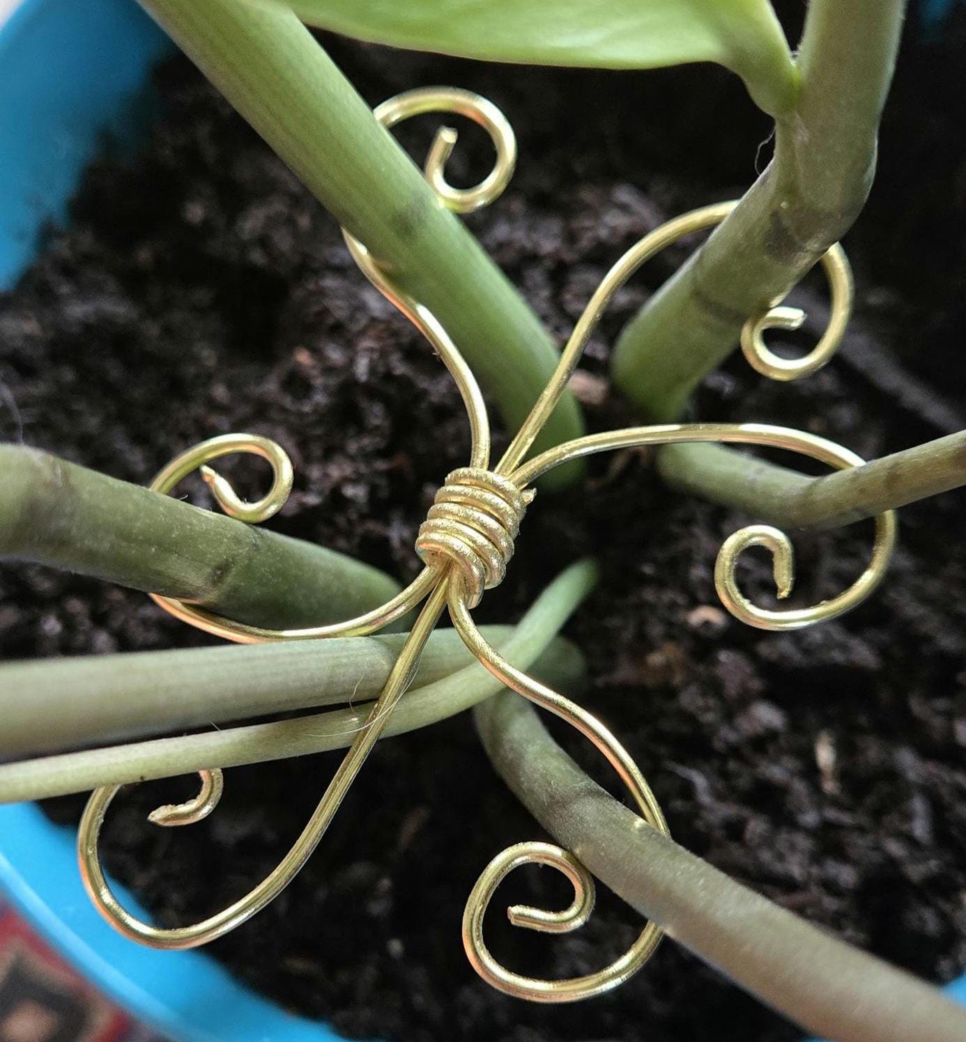 Handmade Plant Stem Supports • Wire Stem Holder • House Plant Decor - Etsy