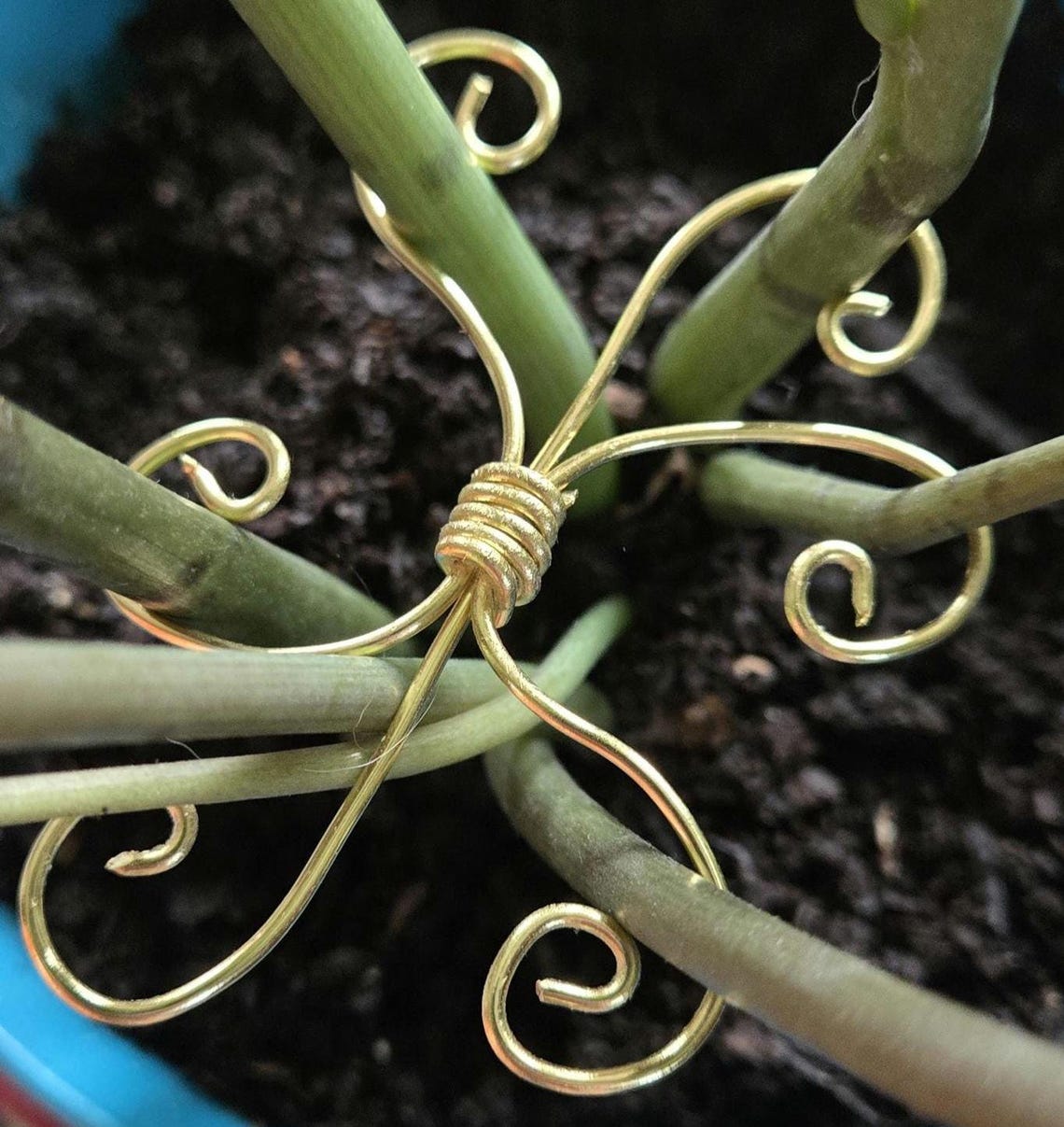 Handmade Plant Stem Supports • Wire Stem Holder • House Plant Decor - Etsy