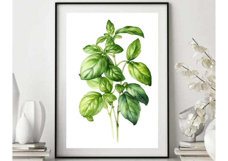 Basil Watercolor Art Print: Kitchen Herbs Still Life Wall Decor - Etsy
