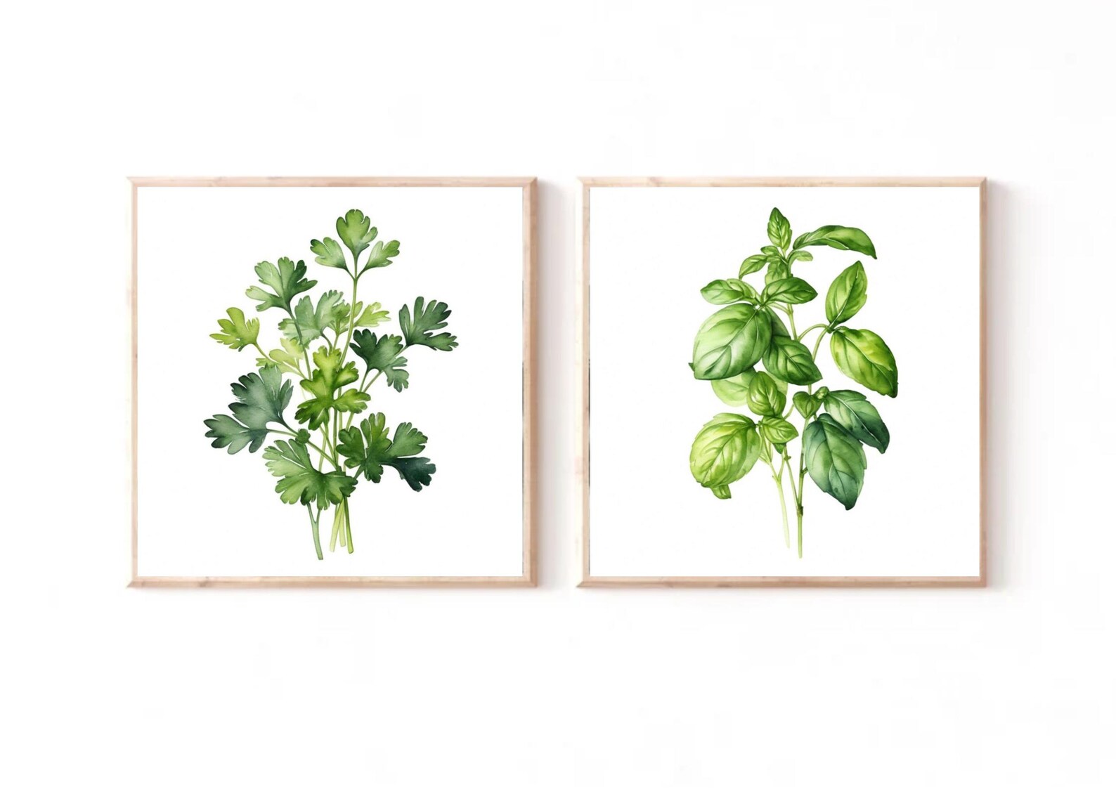 Basil Watercolor Art Print: Kitchen Herbs Still Life Wall Decor - Etsy