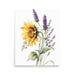 Sunflower and Lavender Watercolor Art Print: Autumn Floral Bouquet - Etsy