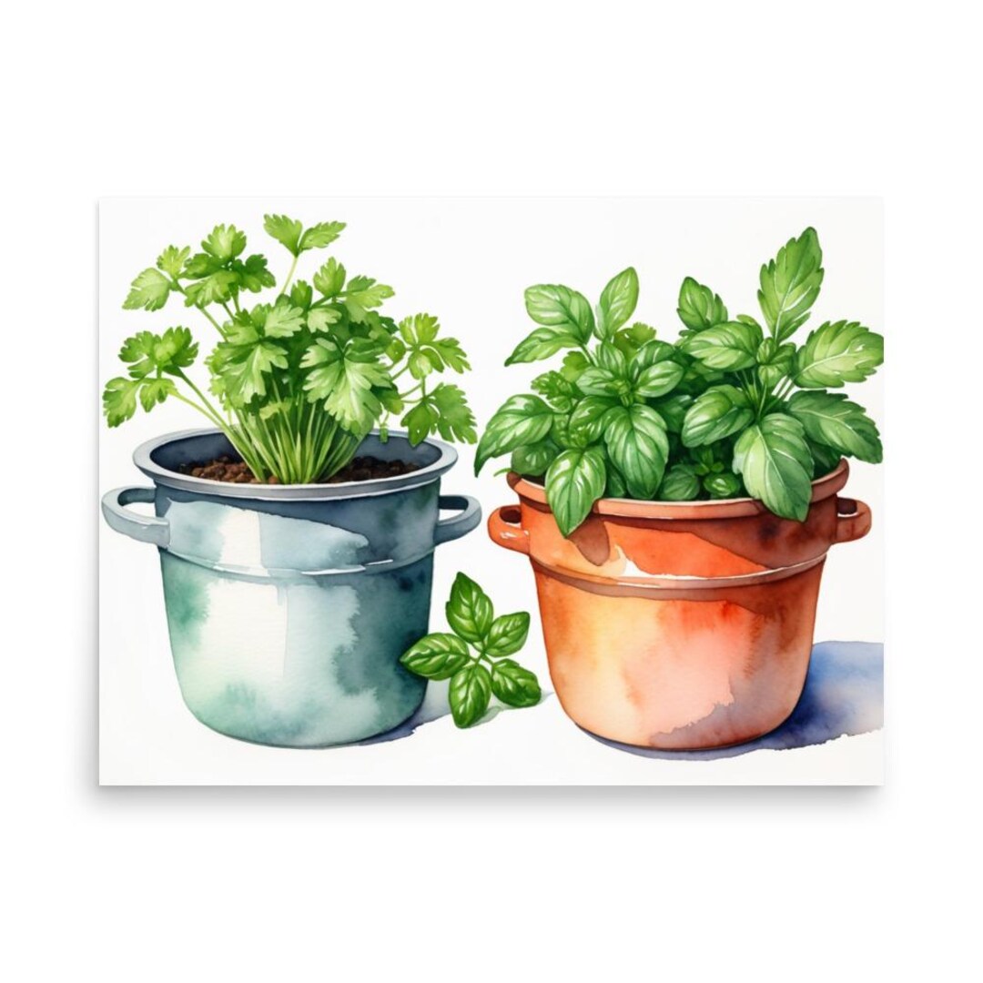 Basil and Parsley in Pots Painting Green Herbs Watercolor Art Print ...