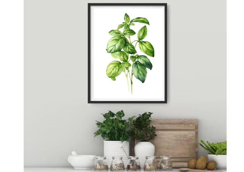 Basil Watercolor Art Print: Kitchen Herbs Still Life Wall Decor - Etsy
